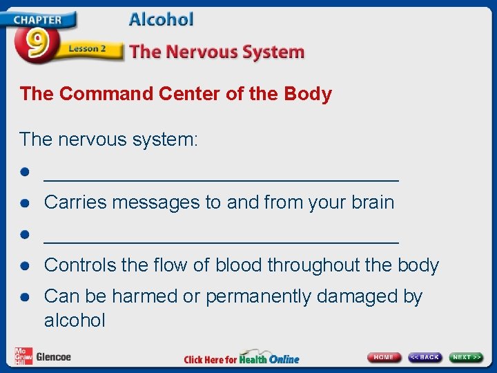 The Nervous System Ch 9 Lesson 2 Pages