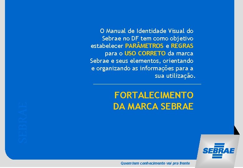 Manual de Identidade Visual SEBRAE Sebrae no DF