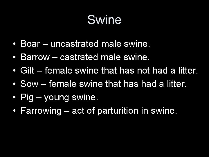 Animal Terminology Cattle Cattle Bull uncastrated male beefdairy