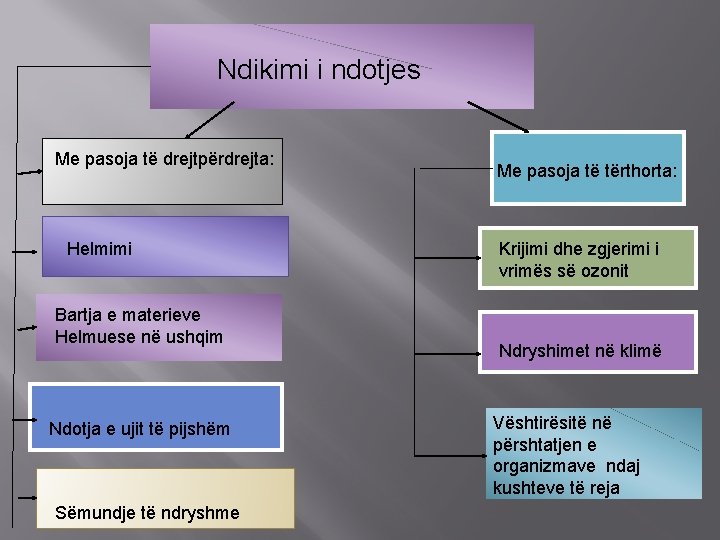 Shkolla F M U E Gjelbr Klasa 72