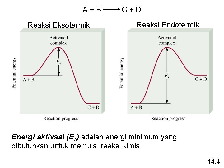 Presentasi Powerpoint Pengajar oleh Penerbit ERLANGGA Divisi Perguruan
