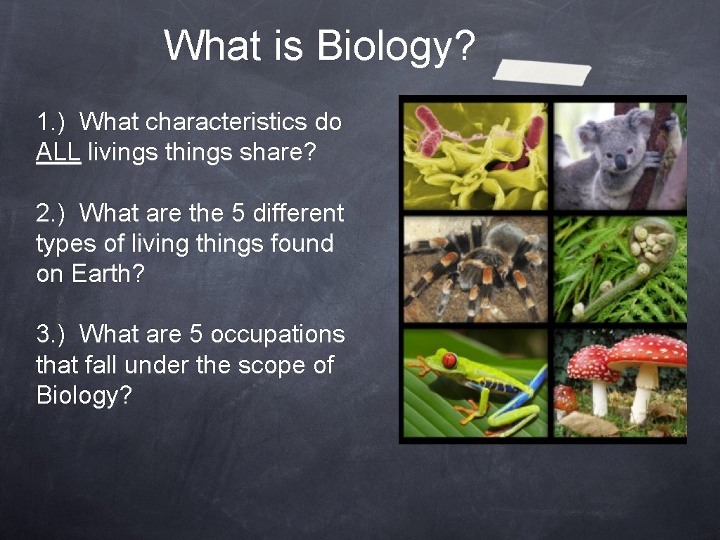 Core Biology Teacher Mr Quinn Classroom D 205D