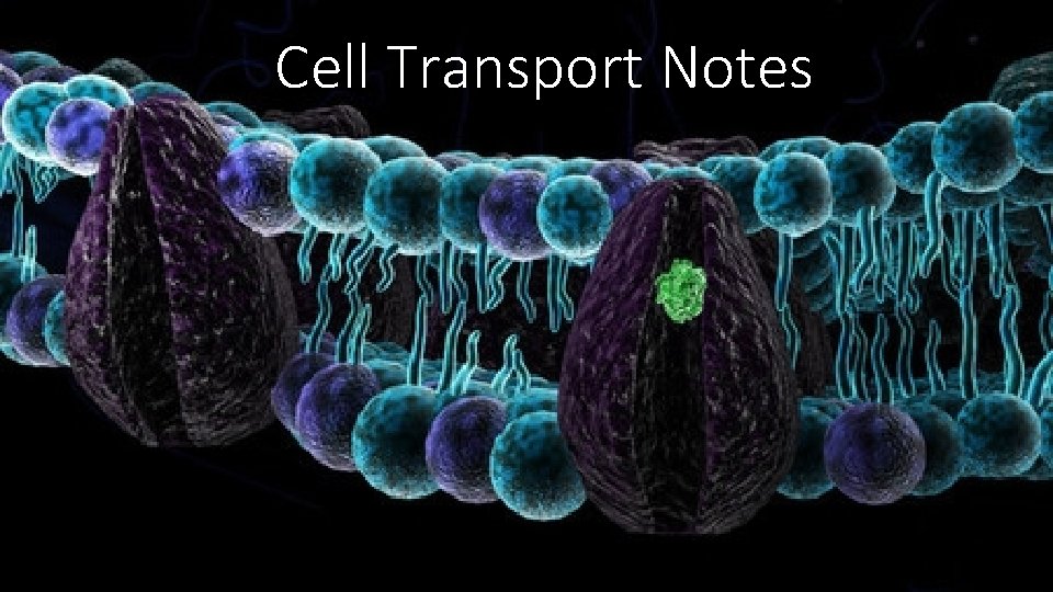 Cell Transport Notes Cell Membrane Also known as
