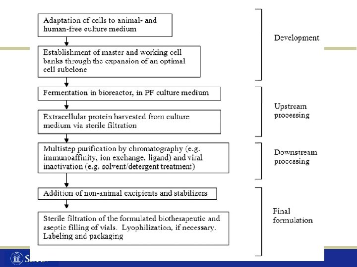 Overview of Protein Therapeutics 1 What is Protein