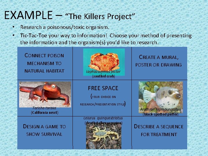 CHOICE BOARDS Fitch Sergent and Stout What are