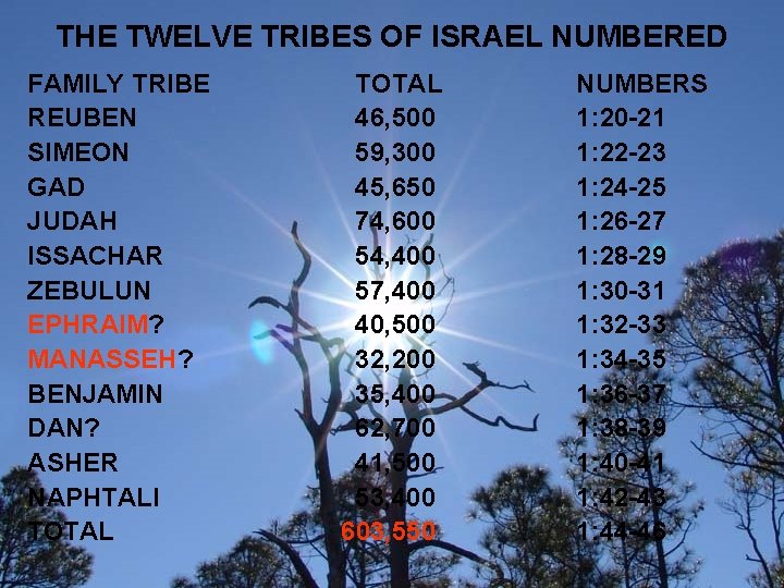 THE BOOK OF NUMBERS WHAT IS THE BOOK