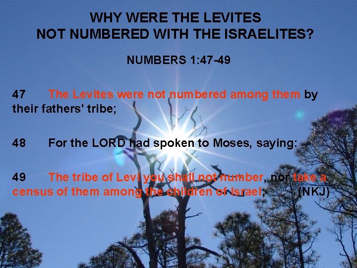 THE BOOK OF NUMBERS WHAT IS THE BOOK