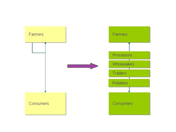 Linking agriculture and nutrition potential of value chain