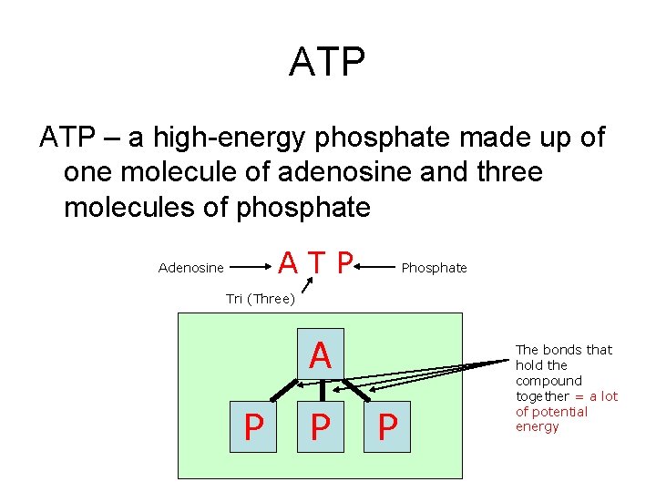 Energy Systems Energy The ability to perform work