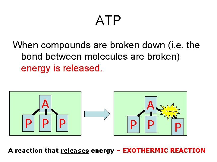 Energy Systems Energy The ability to perform work