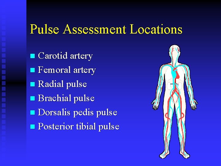Vital Signs The Five Vital Signs n Level