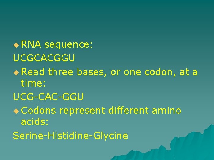 RNA and Protein Synthesis 3 Differences Between RNA