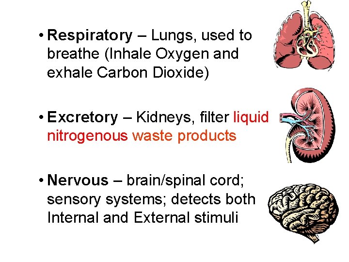Human Body Systems What are all the systems