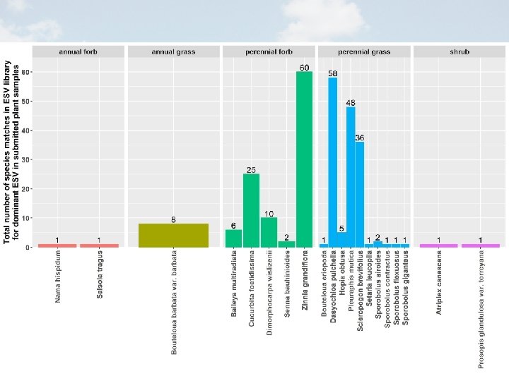Exact Sequence Variants ESV analysis summary Background Switch