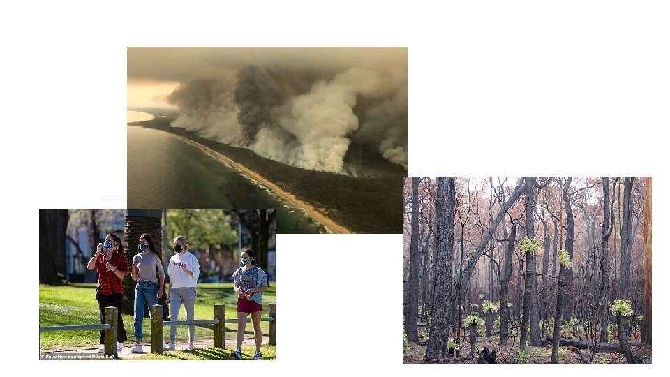 VISITOR SERVICING UPDATE Paul Matthews Paul Albone Since