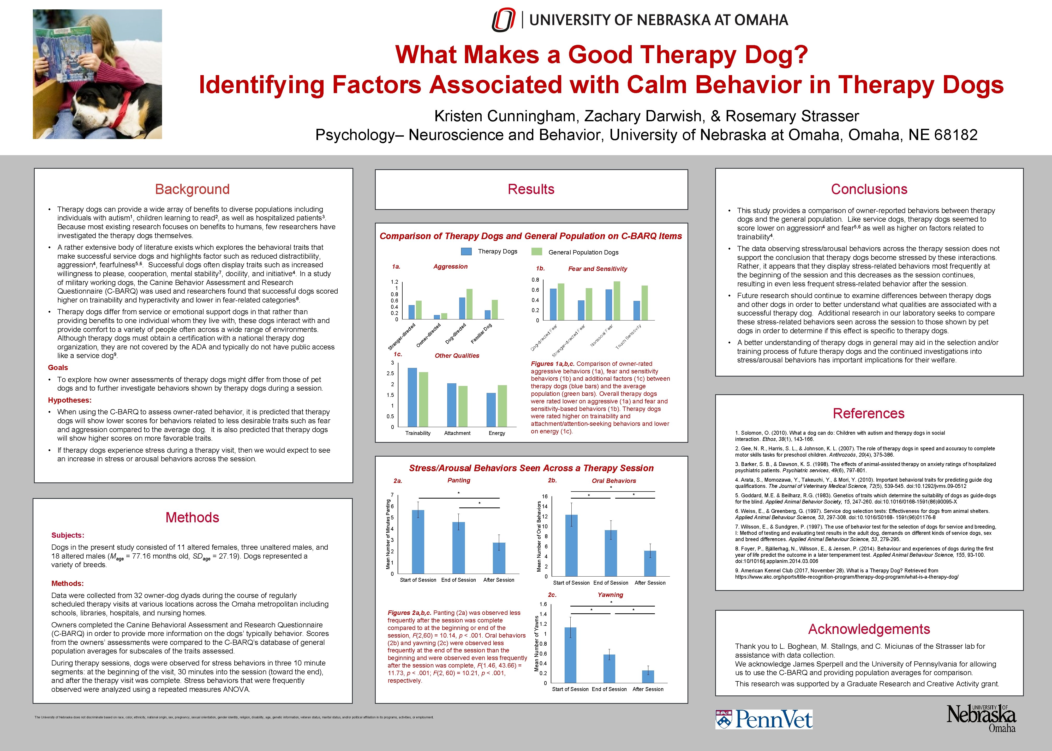 What Makes a Good Therapy Dog Identifying Factors
