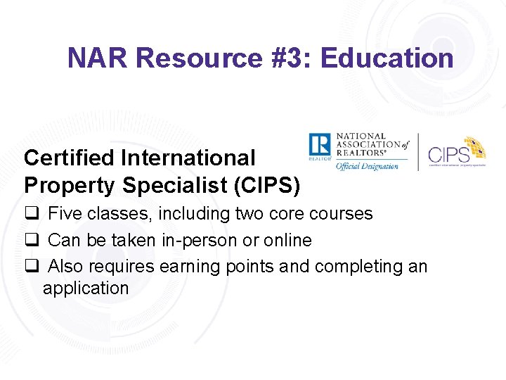 Bringing the World to the South Bay Brian