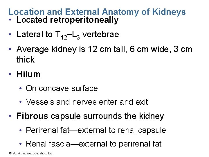 24 PART 1 The Urinary System Pages 720
