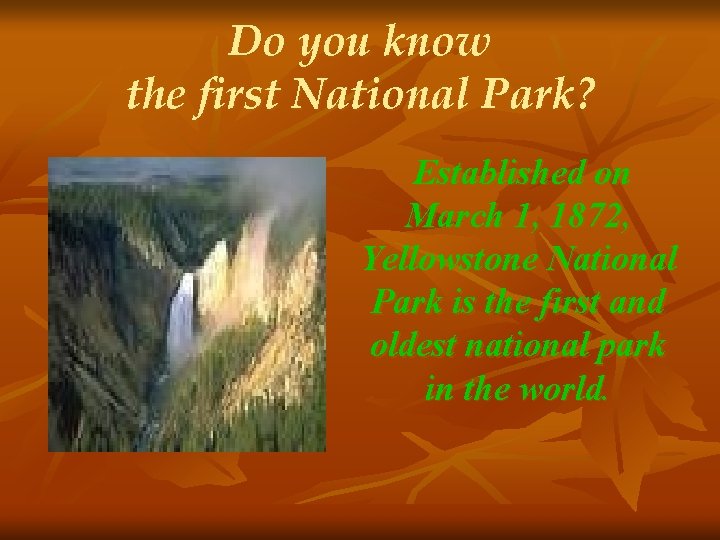 HAVE YOU EVER BEEN TO A NATIONAL PARK