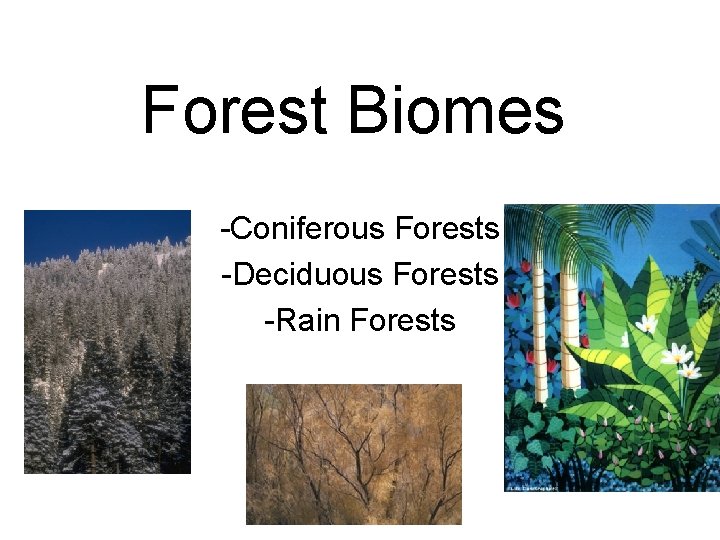 Forest Biomes Coniferous Forests Deciduous Forests Rain Forests