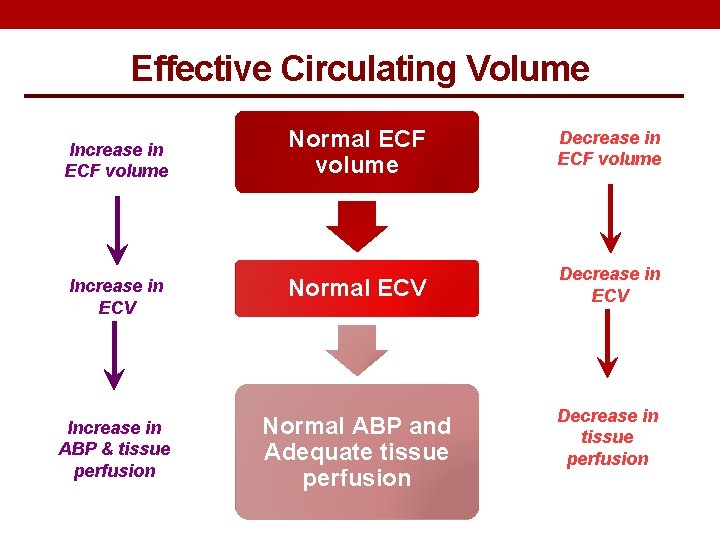 REGULATION OF EXTRACELLULAR FLUID VOLUME Dr Maha Saja