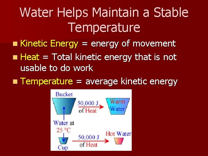 Properties of Water Section 2 5 Learning Objectives