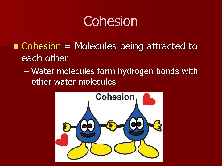 Properties of Water Section 2 5 Learning Objectives