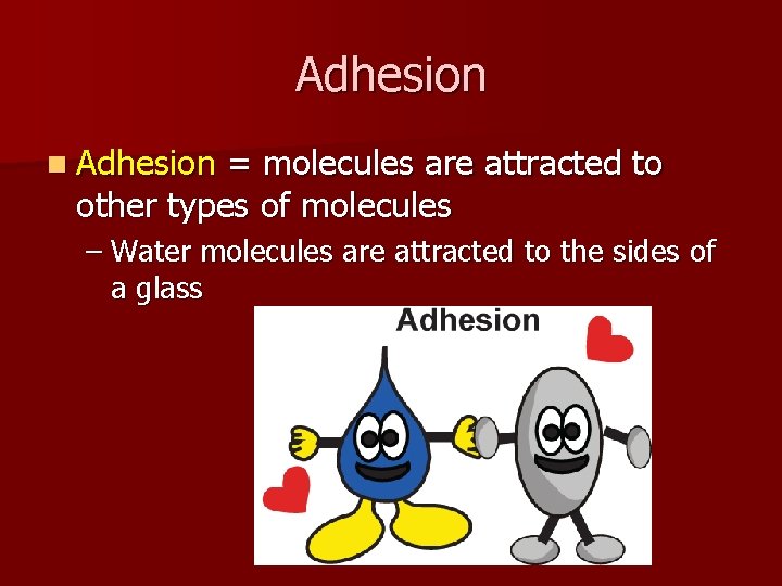 Properties of Water Section 2 5 Learning Objectives