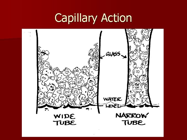 Properties of Water Section 2 5 Learning Objectives