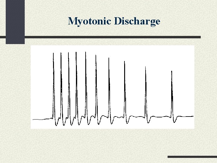 Neurophysiological Basis of Movement World VI Motor Disorders