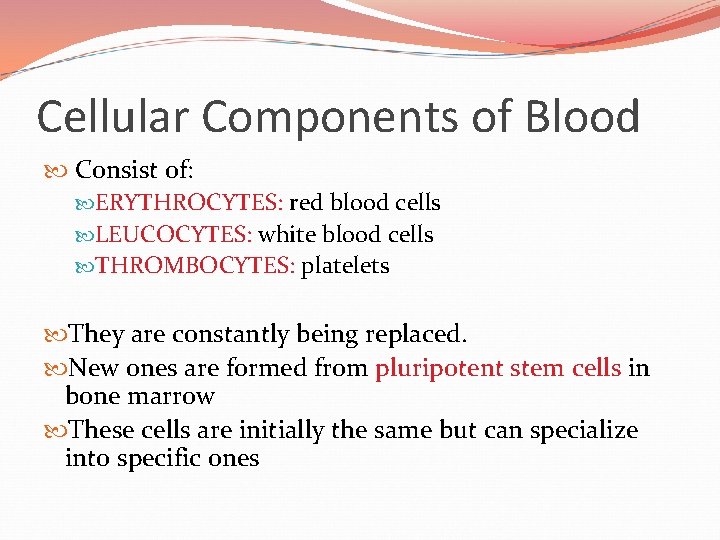 The Blood System 6 2 and D 4