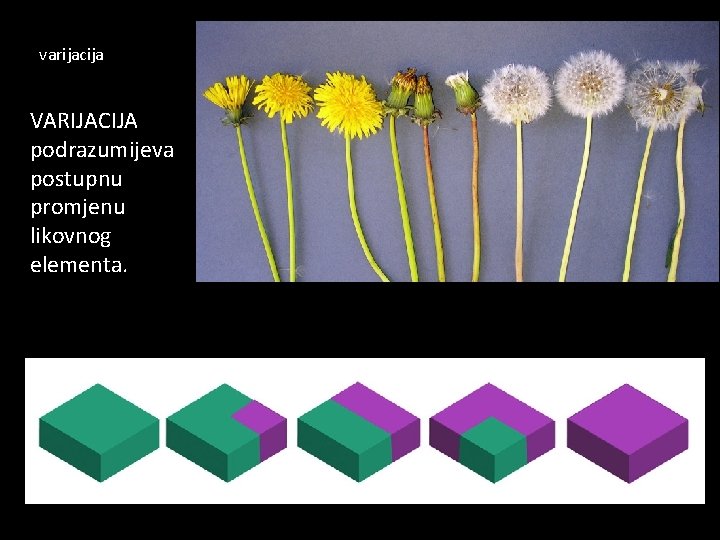 BOJA RITMOVI DOMINACIJA ALTERNACIJA VARIJACIJA GRADACIJA RADIJACIJA ...