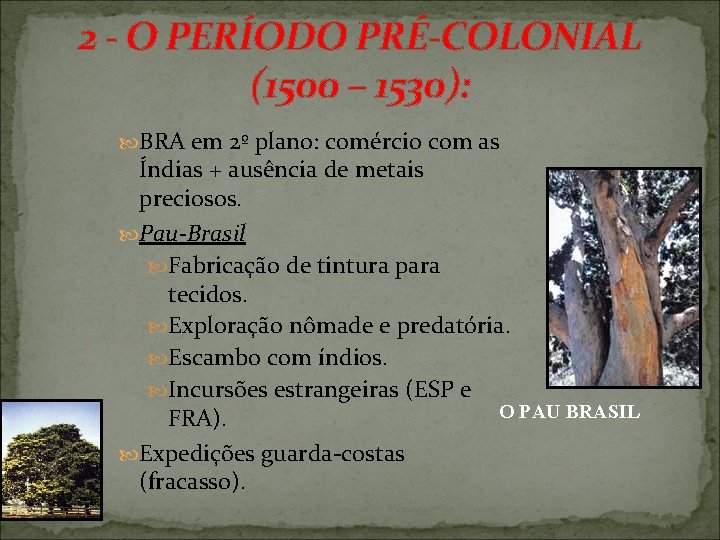 Unidade 3 e 4 HB A Administrao Colonial