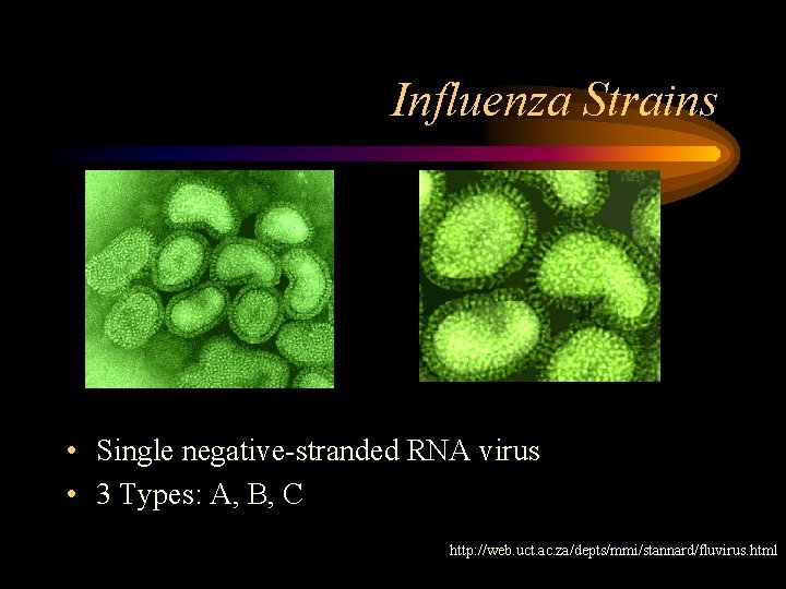The Threat of Influenza Damara Gebauer Sai Jahann