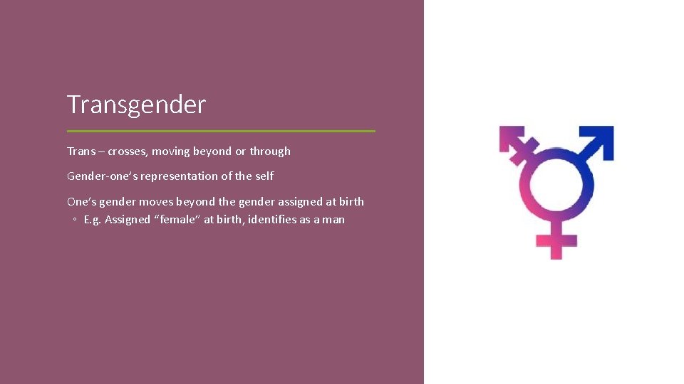 The Gender Spectrum CREATED BY IAN UNGER PROGRAM