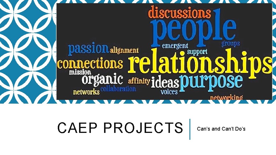 CAEP PROJECTS Cans and Cant Dos ELEMENTS WHICH