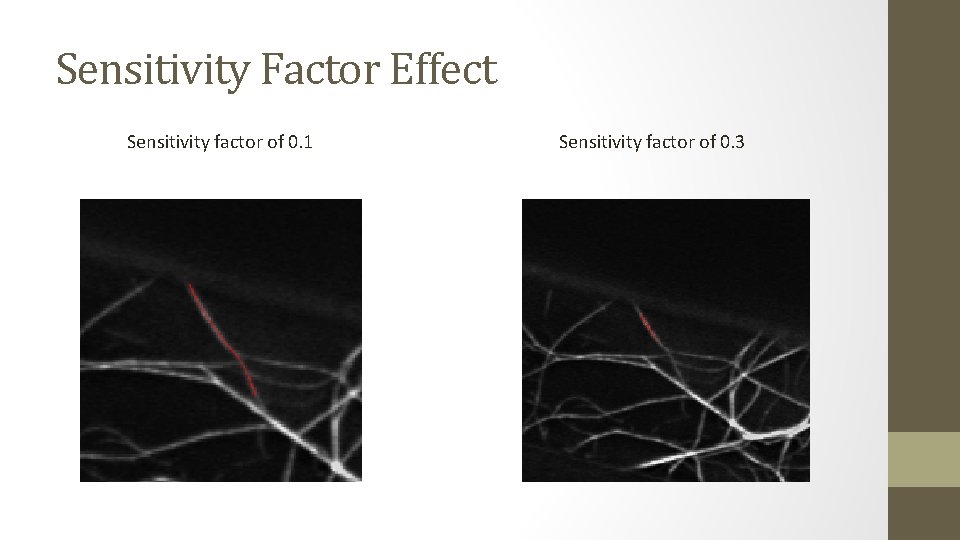 Graphical User Interface on Analysis of Mechanics and