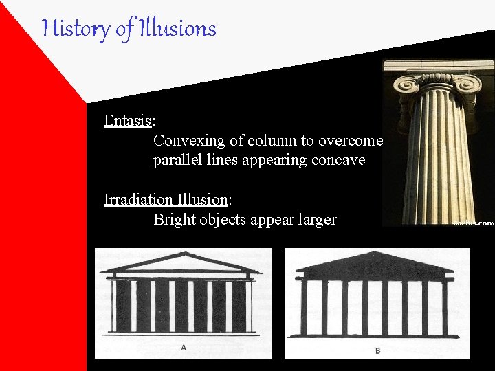 Optical Illusions s I g n i See