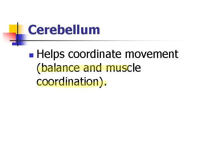 Chapter 12 The Brain Regions of the Brain