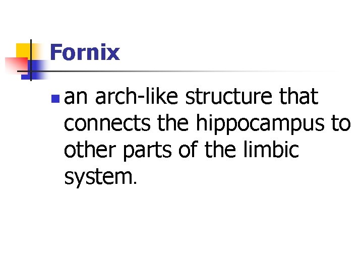 Chapter 12 The Brain Regions of the Brain