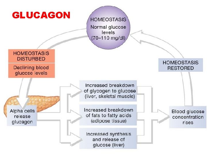 Diabetes Mellitus Global and national prevalence of diabetes