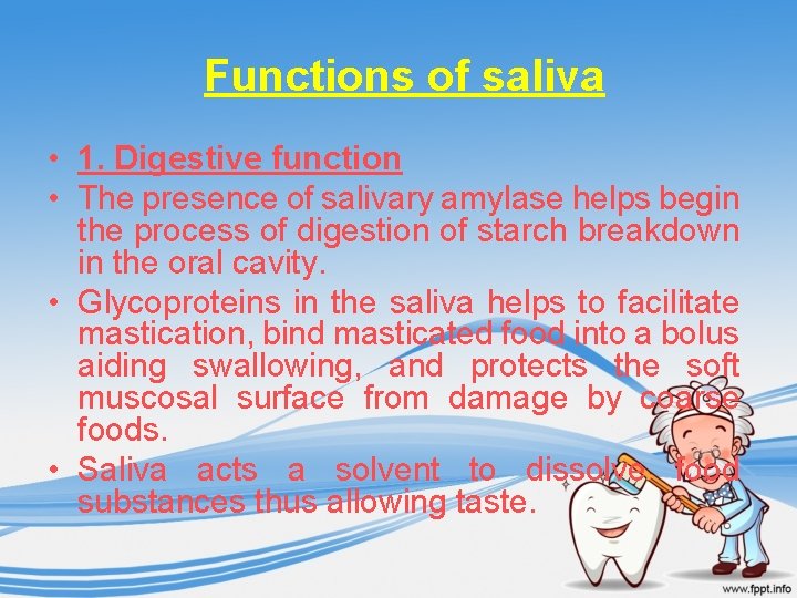 Definition Saliva is a fluid secreted by salivary