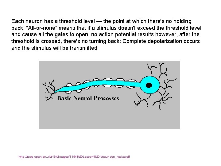 Structure Function http webspace ship educgboeractionpot html http