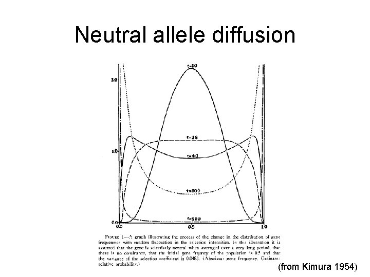 Computational Biology 6 047 100908 Guest Lecture Molecular