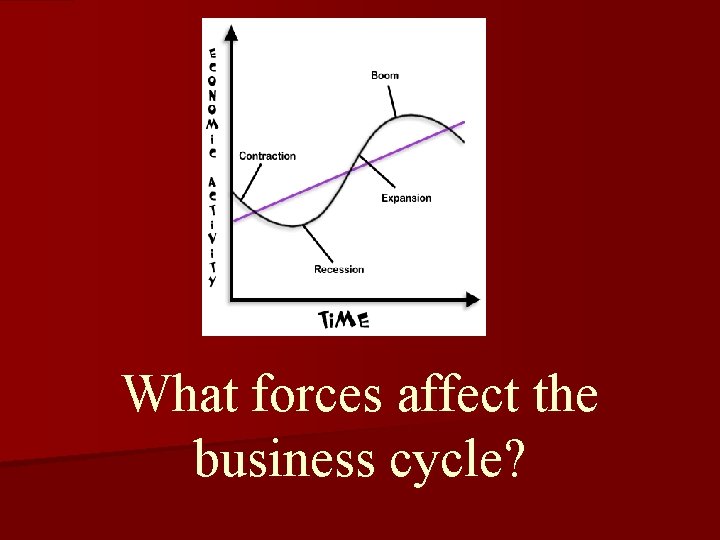 What forces affect the business cycle External forces