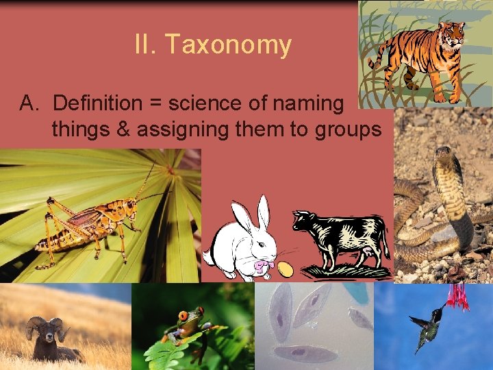 Introduction to Zoology I General Information about Zoology