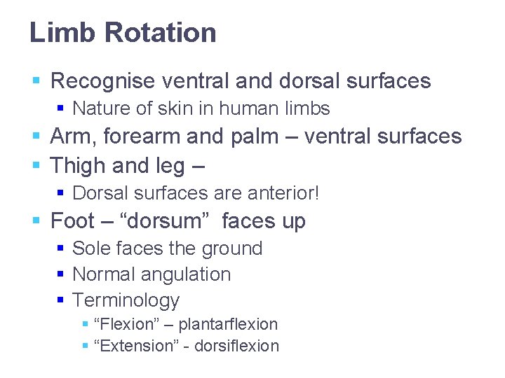 Limbs Evolution Development And Organisation 212 2004 Week