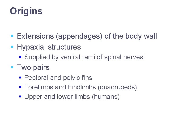 Limbs Evolution Development And Organisation 212 2004 Week