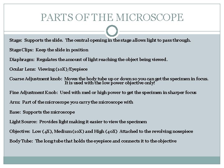 MICROSCOPE LAB WHAT DO YOU SEE WHAT CAN