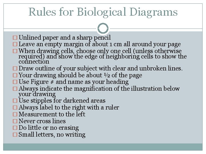 MICROSCOPE LAB WHAT DO YOU SEE WHAT CAN